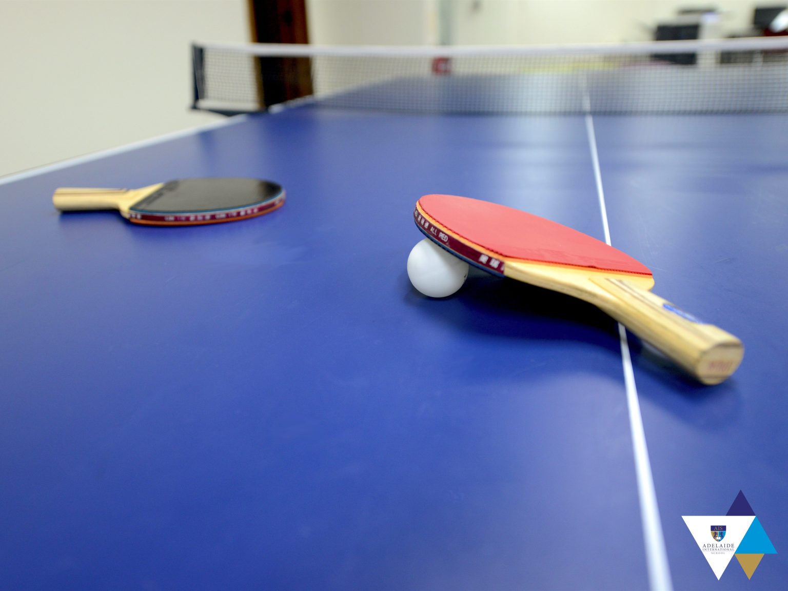 Sports at AIS - Adelaide International School (AIS)